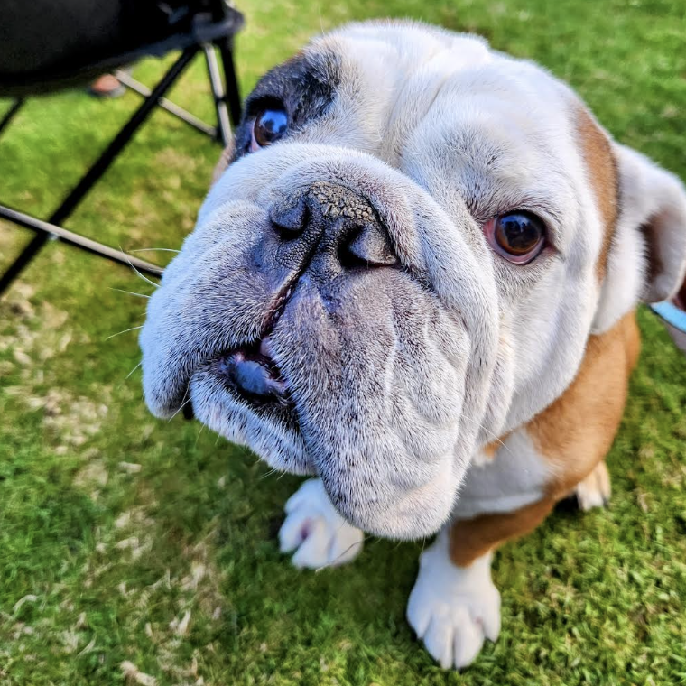 Experiences - Telegraph Harbour Marina